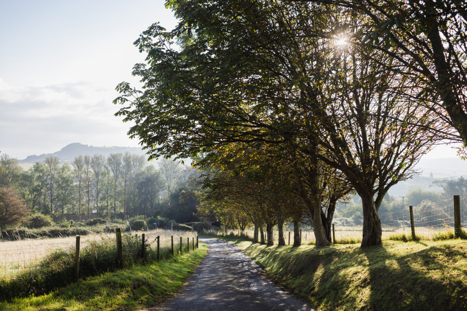 Appuldurcombe House Wedding - Lindsay & Ron - Fazackarley Weddings